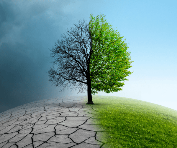 Clause 4 update: how to get started with new climate change ...